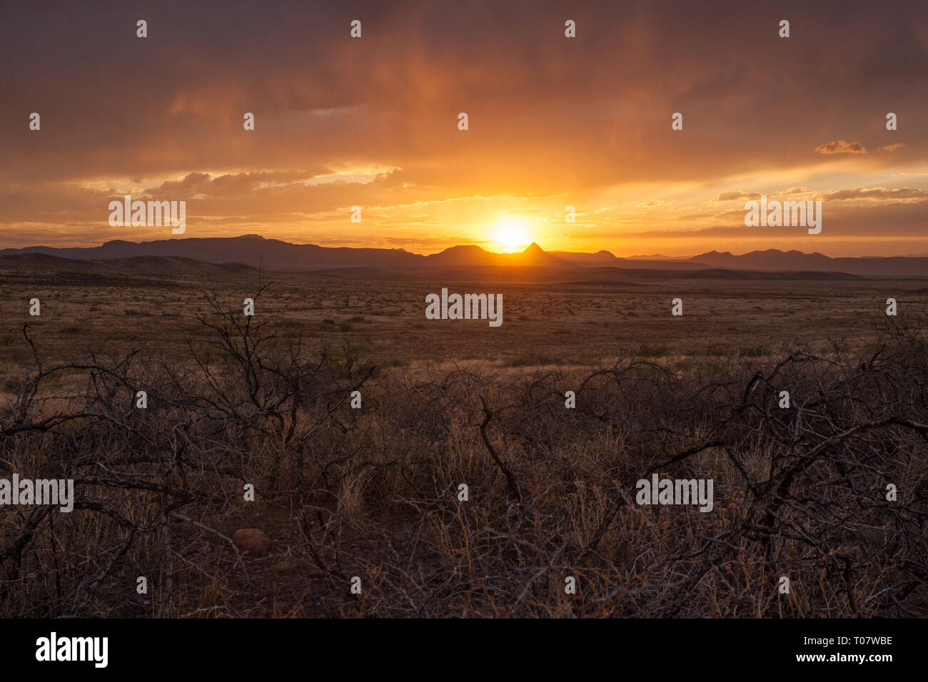 Alpine, Brewster County, Texas, USA Stock Photo - Alamy