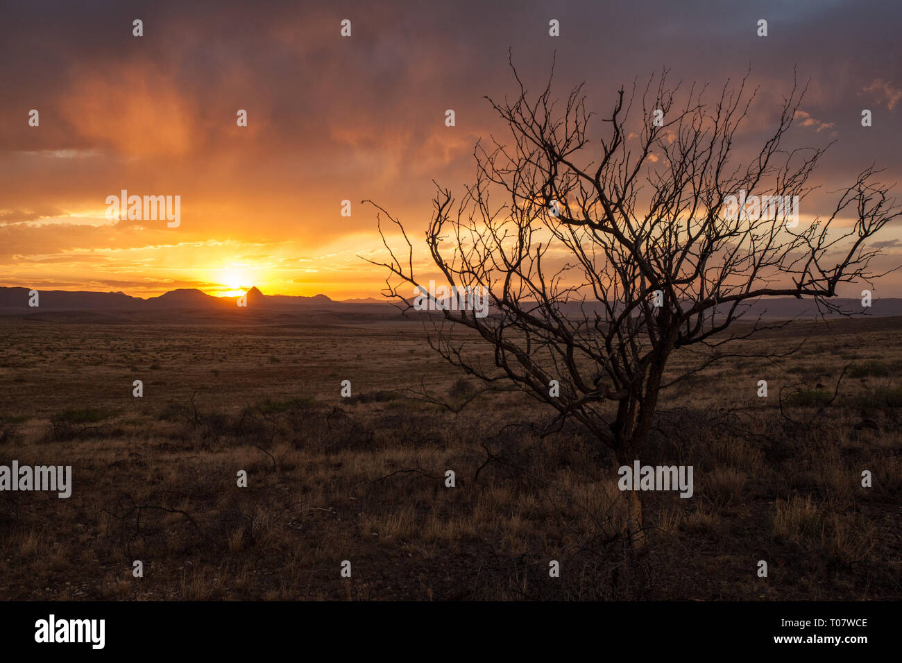 Mitre peak texas hi-res stock photography and images - Alamy