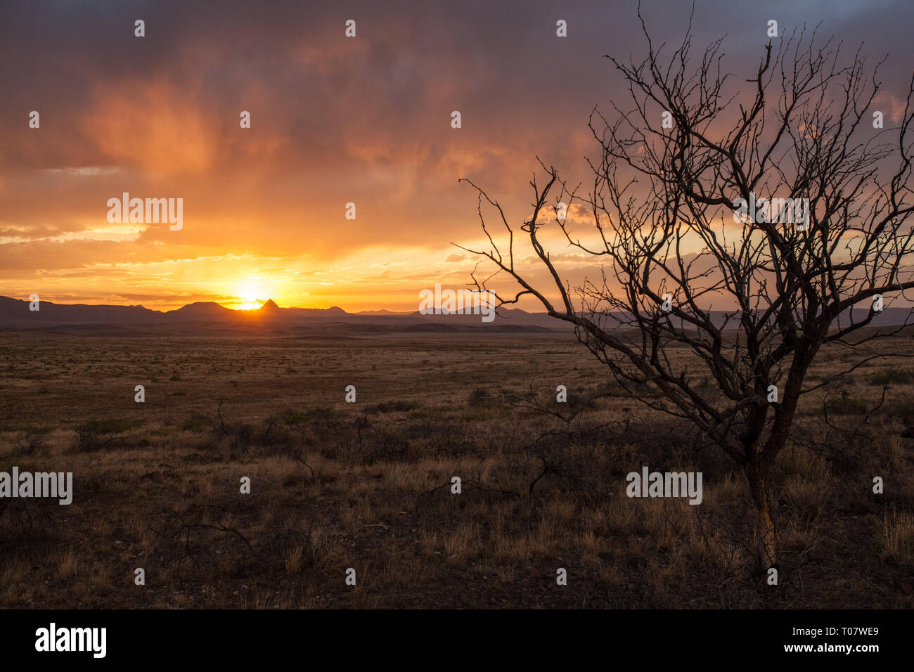 Alpine, Brewster County, Texas, USA Stock Photo - Alamy