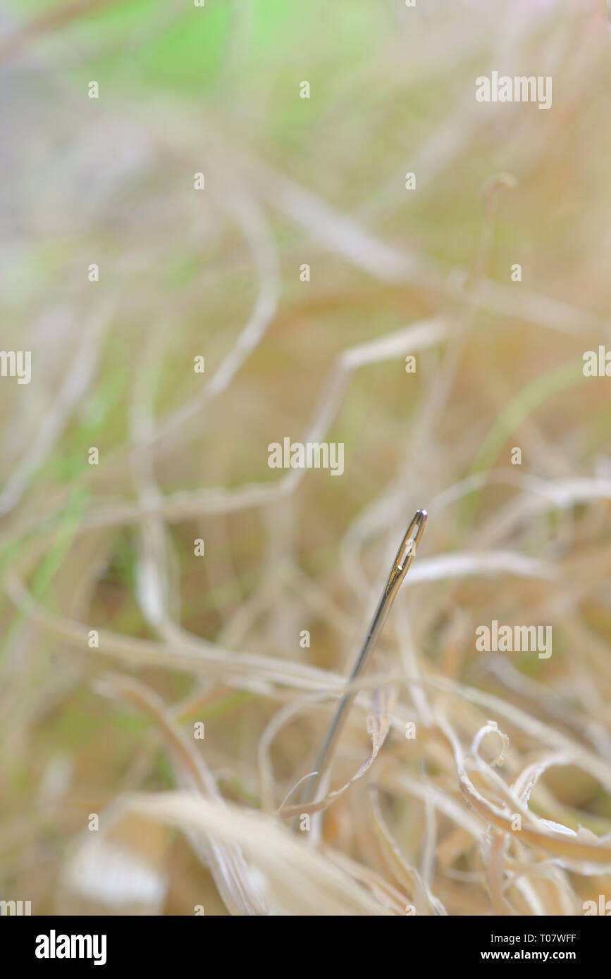 A needle in a haystack hi-res stock photography and images - Alamy