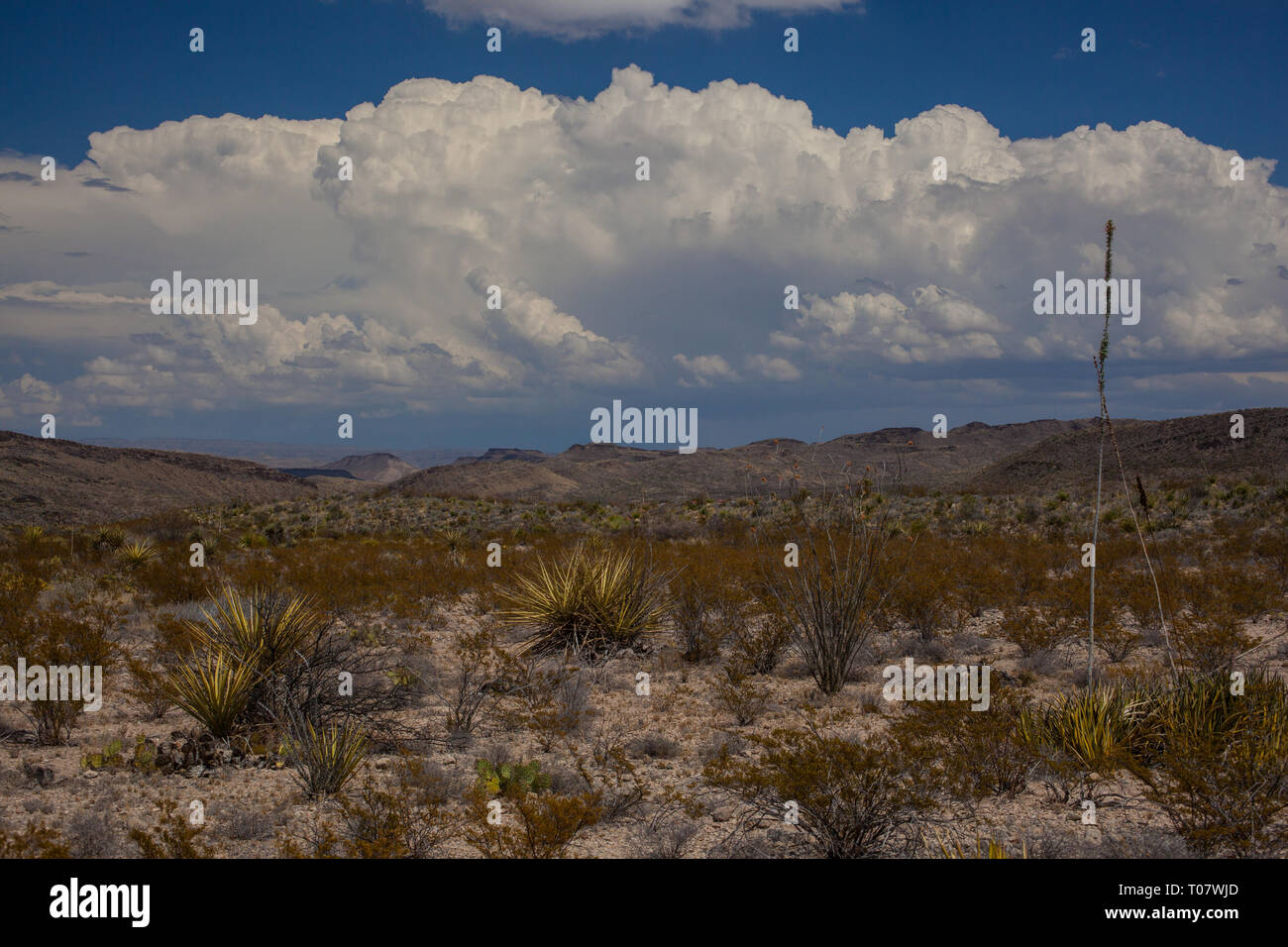 Black Gap, Brewster County, Texas, USA Stock Photo - Alamy