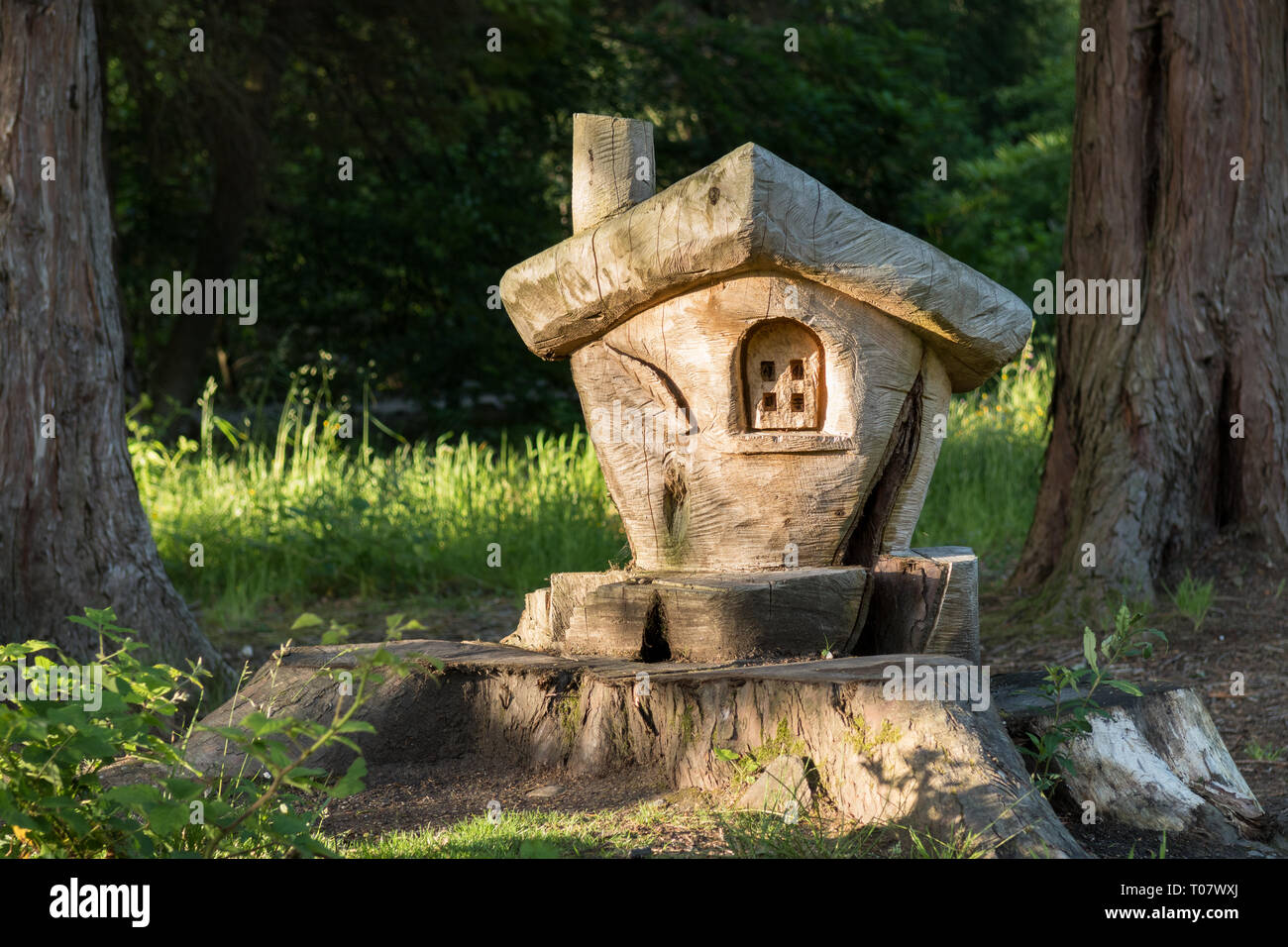 Balloch Castle Country Park Fairy Trail - tree stumps including fairy ...