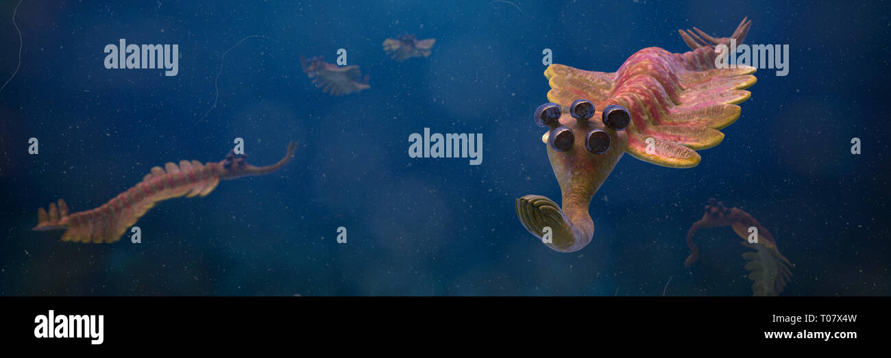 group of Opabinia regalis, prehistoric aquatic animal from the Cambrian ...