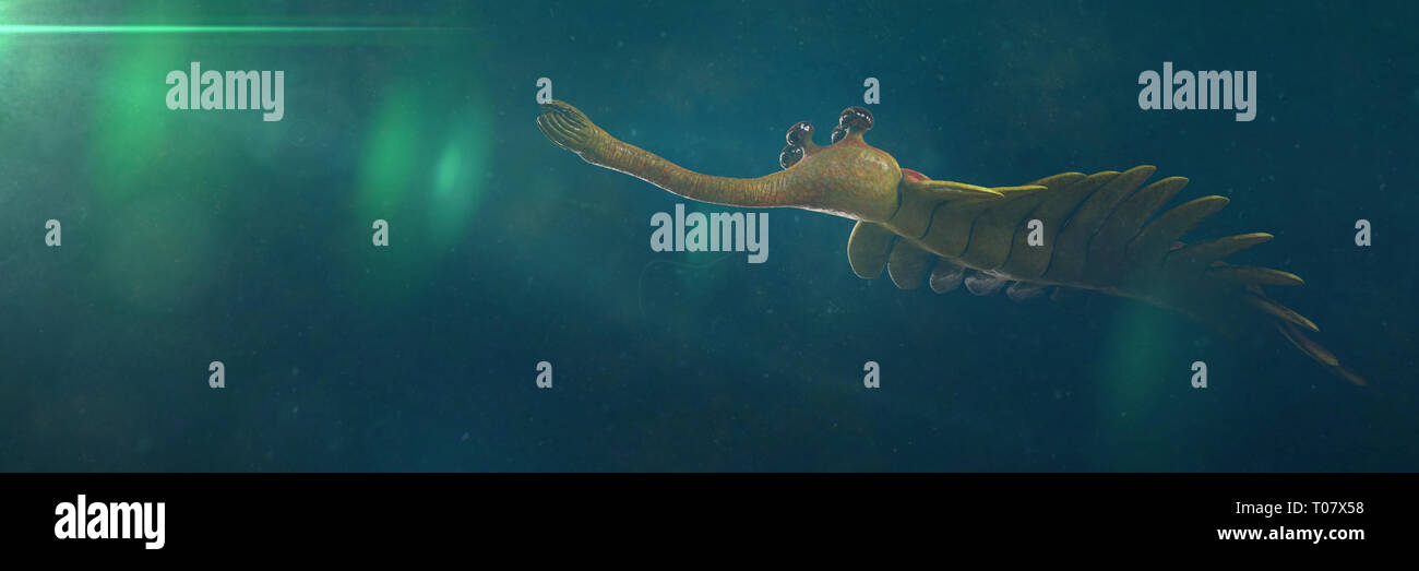 swimming Opabinia regalis, prehistoric aquatic animal from the Cambrian ...