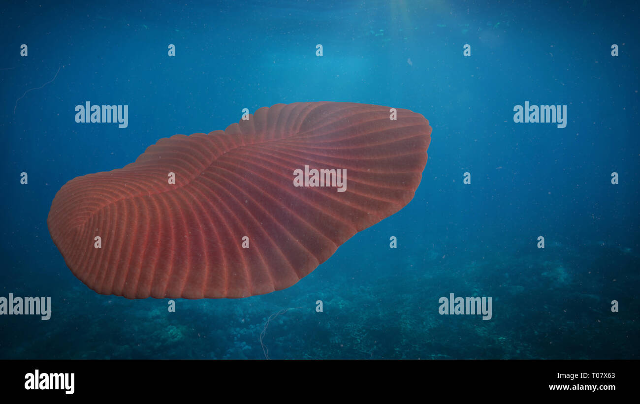 Ediacaran period hi-res stock photography and images - Alamy