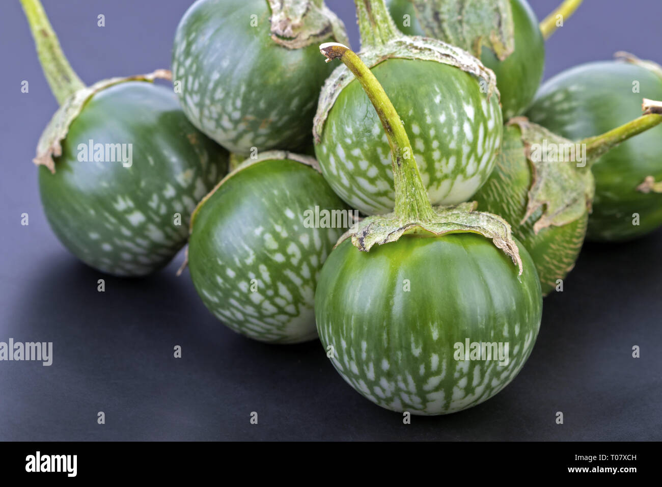 Solanum virginianum hi-res stock photography and images - Alamy