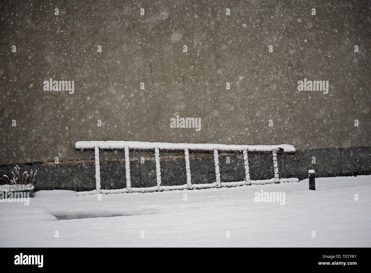 Old wooden ladder laying on the snow near the wall Stock Photo - Alamy