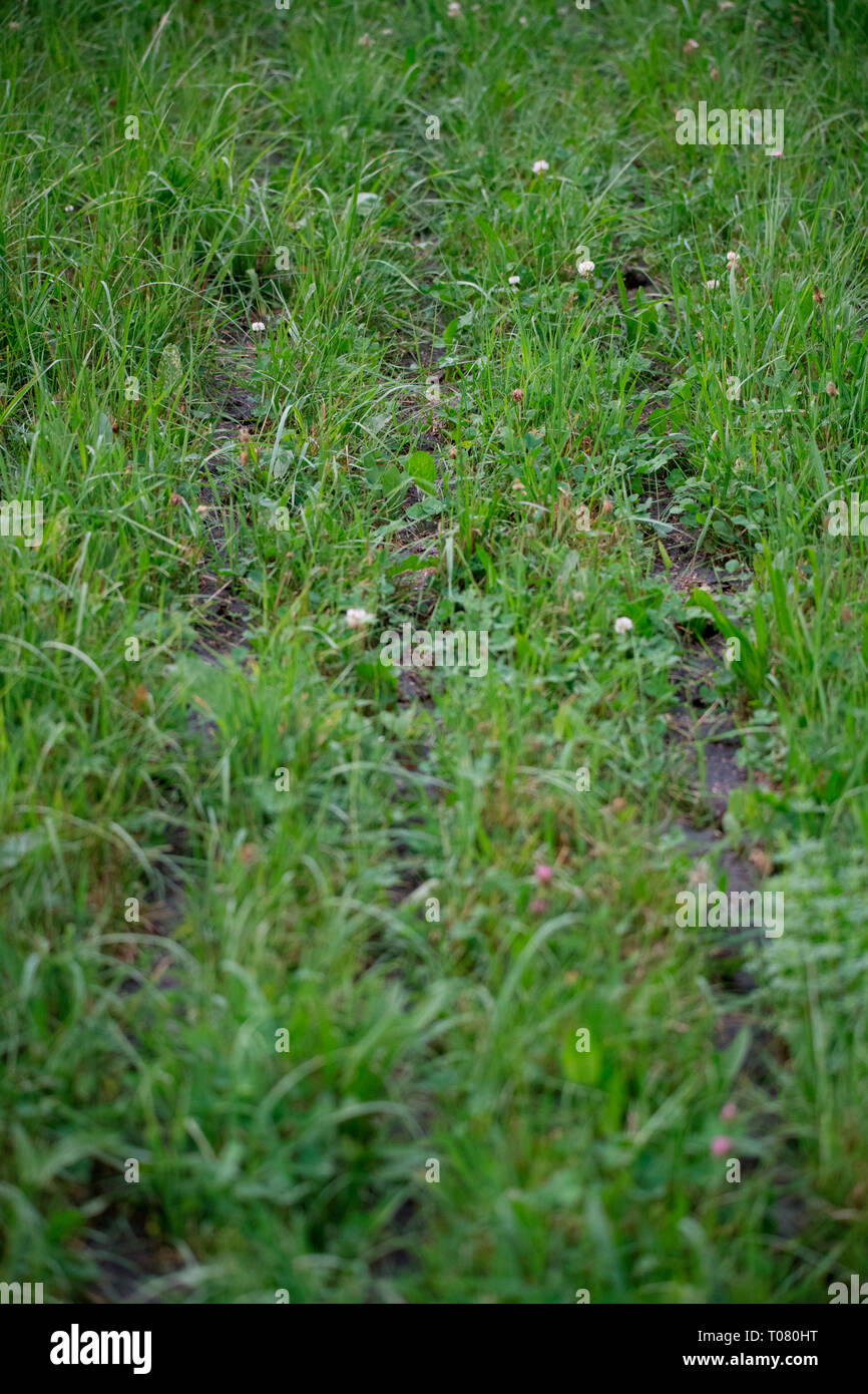 Field fertilisation hi-res stock photography and images - Alamy
