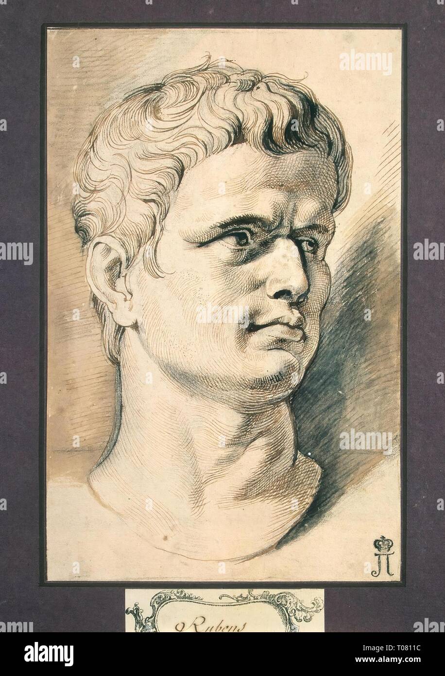 'Head of Brutus'. Flanders, Between 1635 and 1638. Dimensions: 25,5x16 ...