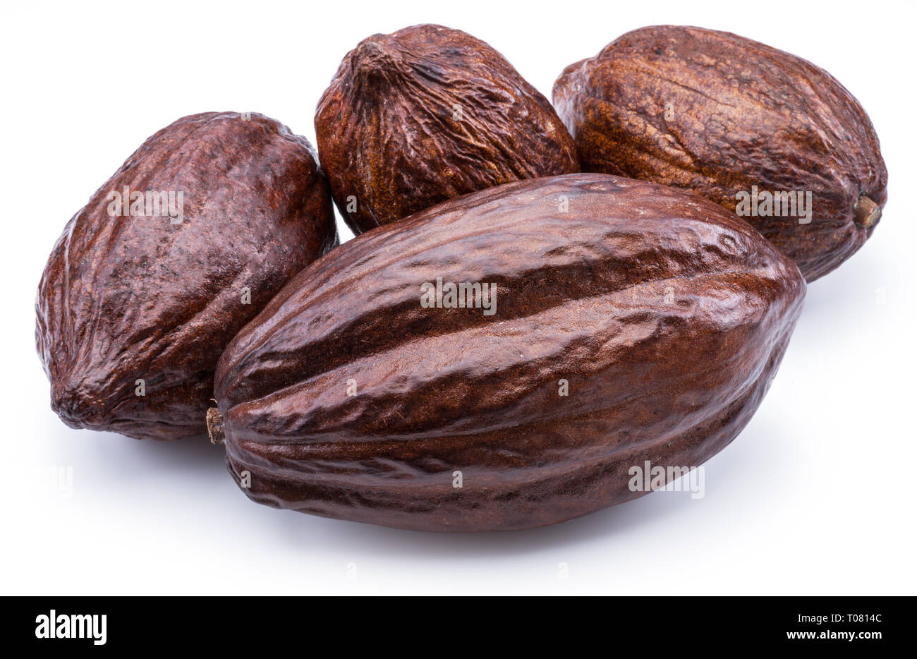 Brown cocoa pods isolated on a white background Stock Photo - Alamy