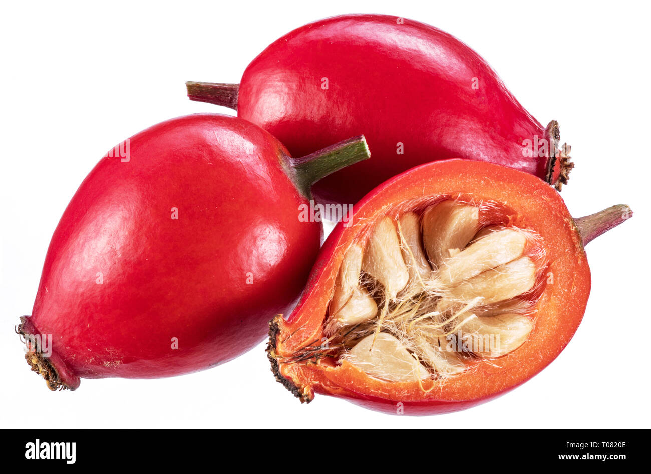Wild rose berries hi-res stock photography and images - Alamy