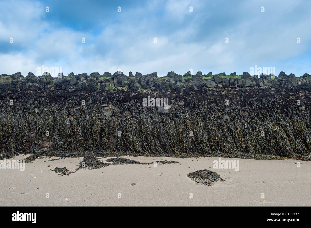 The harbour wall at Cemaes, a village on the north coast of Anglesey in ...