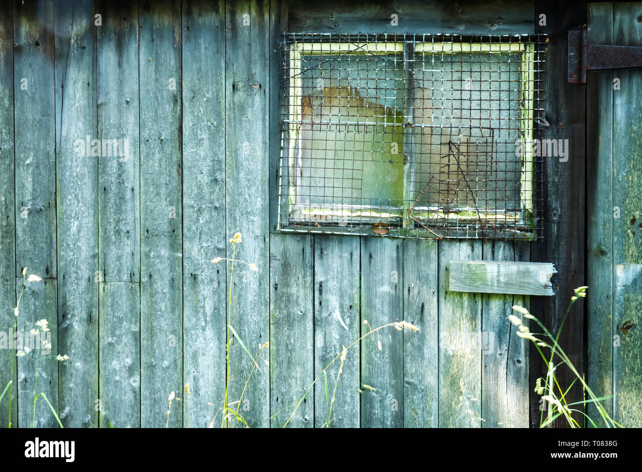 Window of an old derelict shed or shack Stock Photo - Alamy