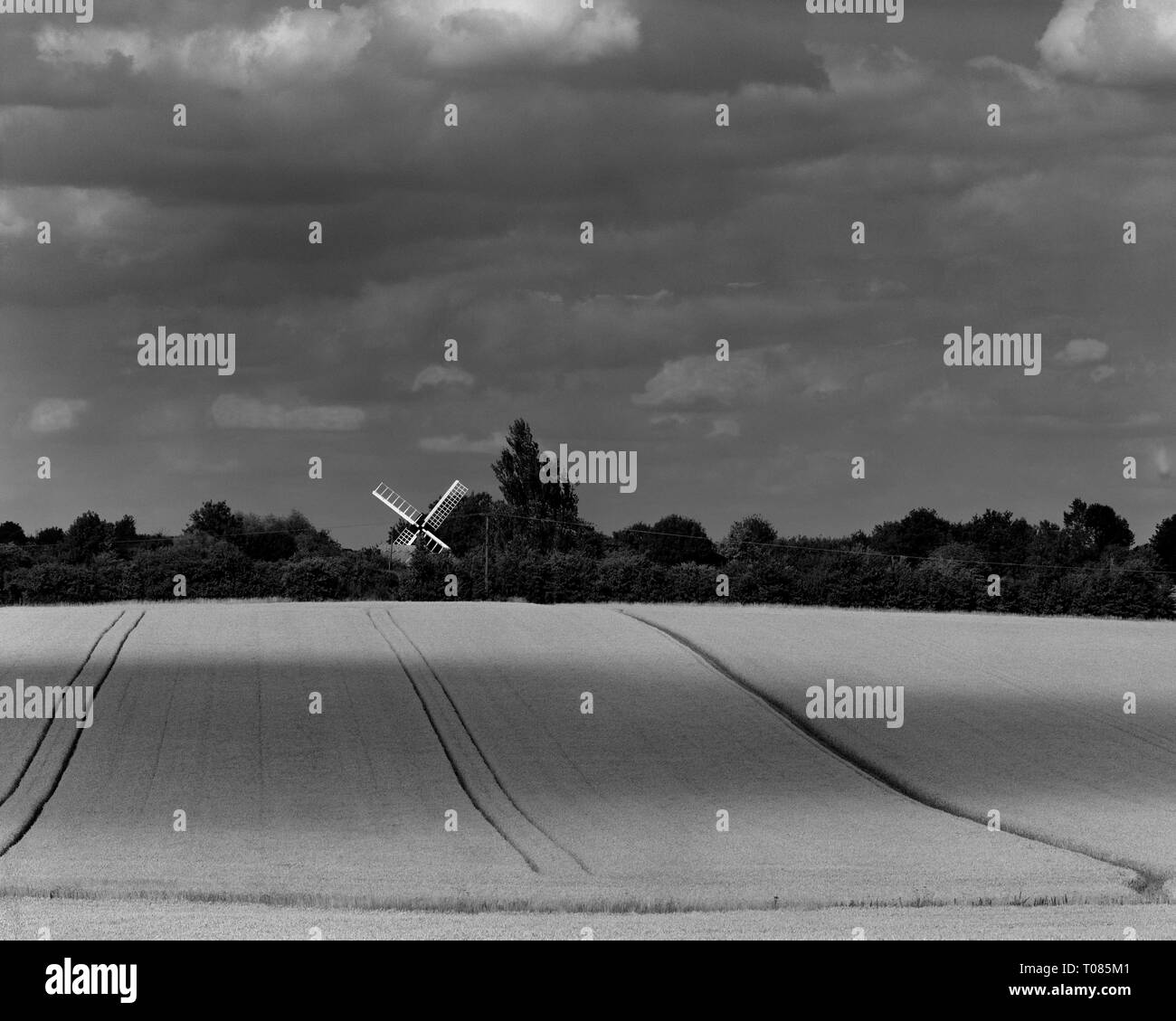 Bourn windmill and wheatfield Cambridgeshire England Stock Photo - Alamy