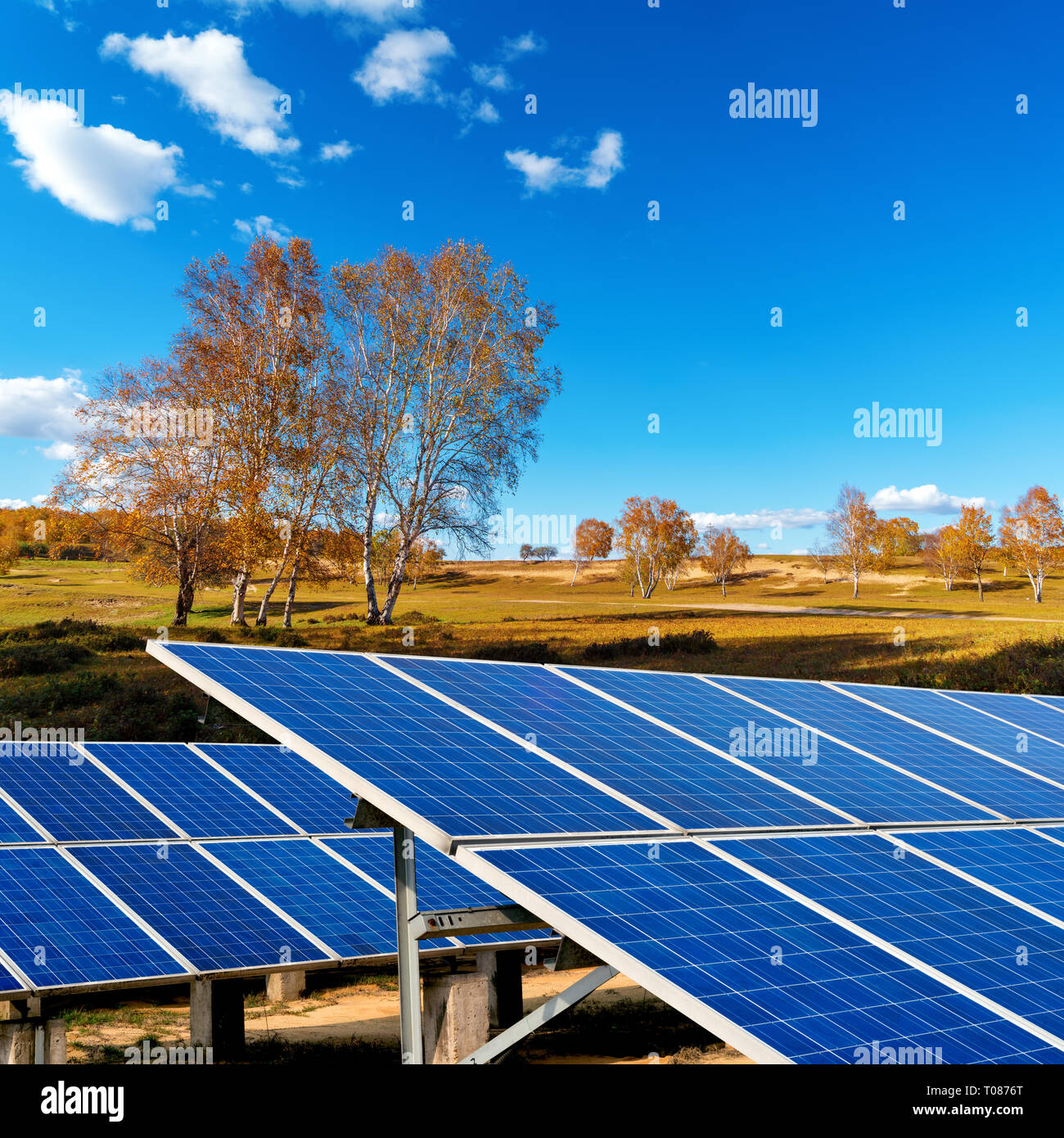 Autumn leaves on photovoltaic panels hi-res stock photography and ...