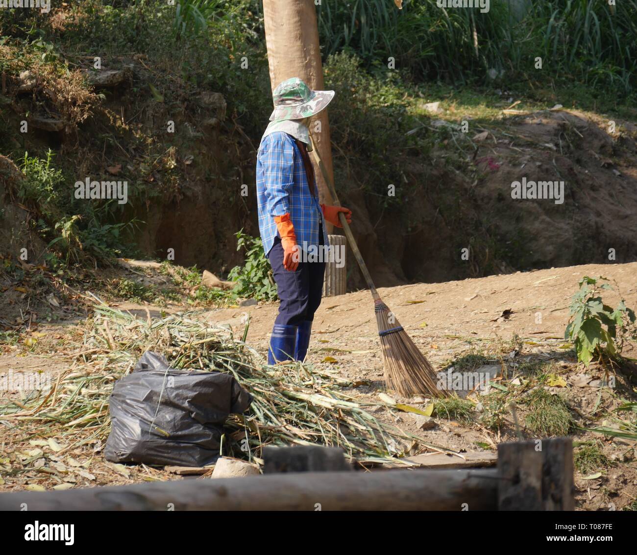 CHIANG MAI, THAILAND--MARCH 2018: An elephant camp staff sweeps grass ...