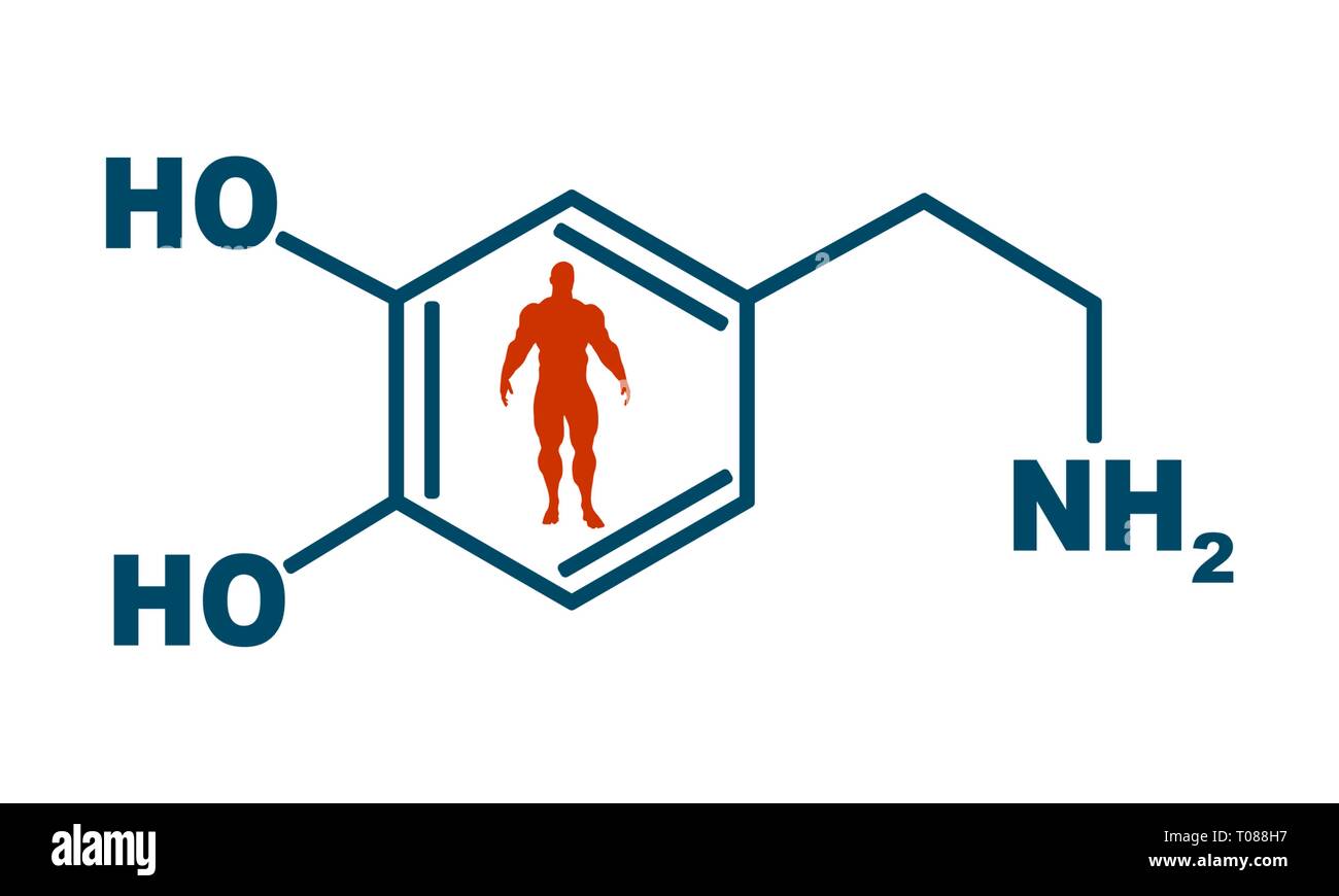 Dopamine hormone structural chemical hi-res stock photography and ...