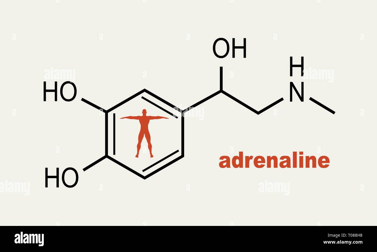 Chemistry chemical formula adrenaline hi-res stock photography and ...