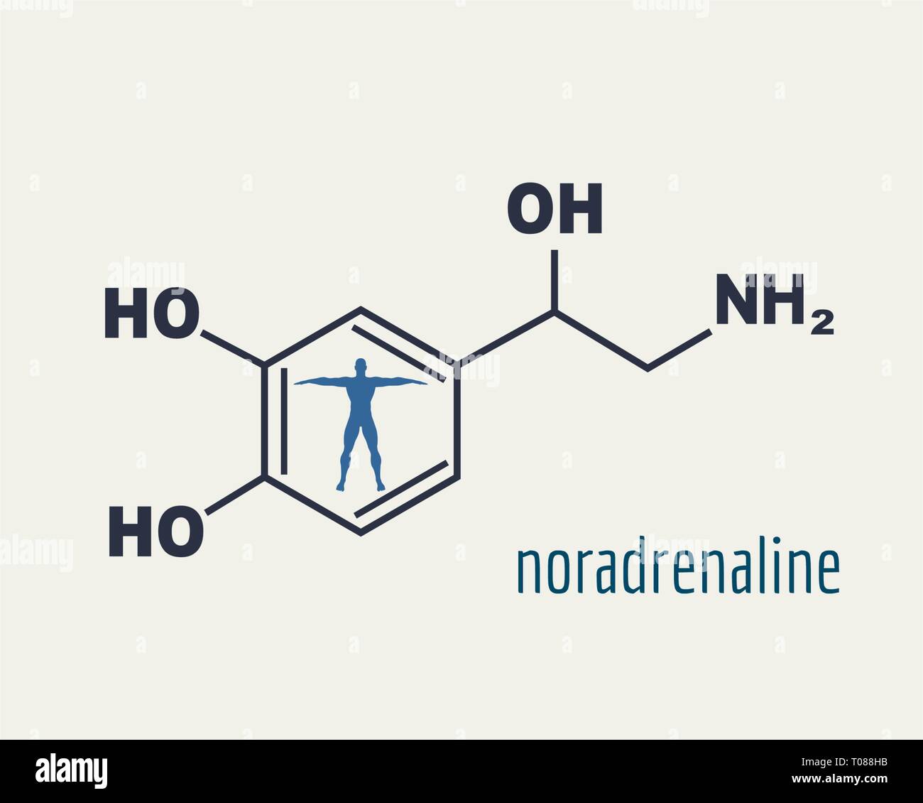 Noradrenaline hi-res stock photography and images - Alamy