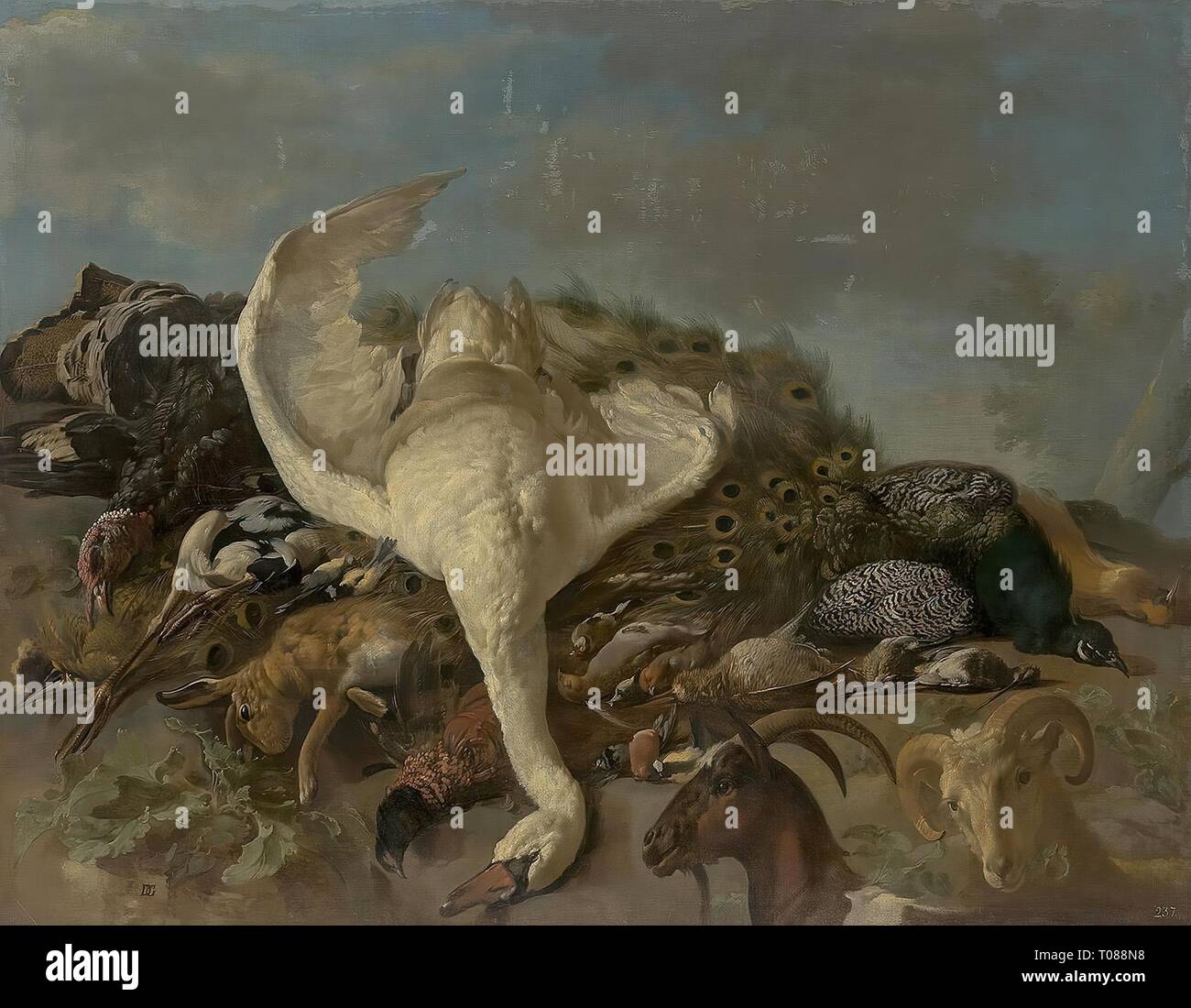 Dead swan hi-res stock photography and images - Alamy