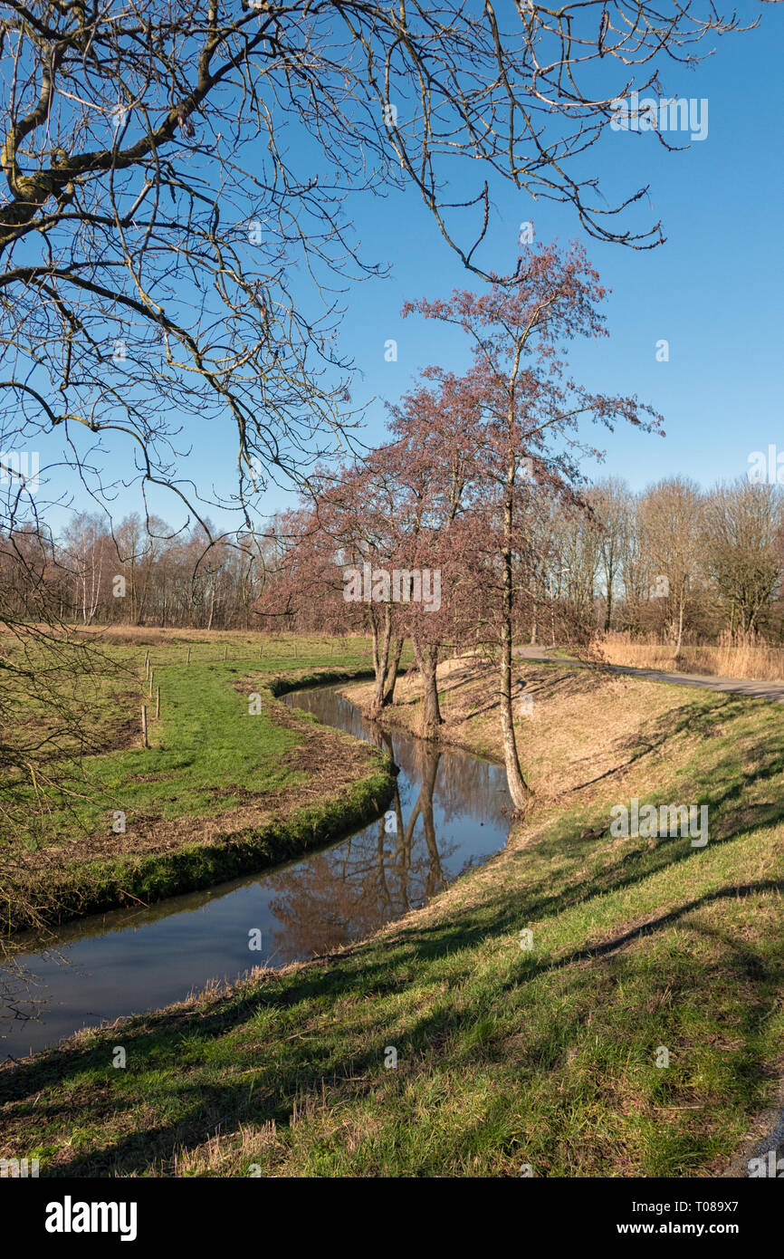 Meandering brook in winter landscape in the Netherlands Stock Photo - Alamy