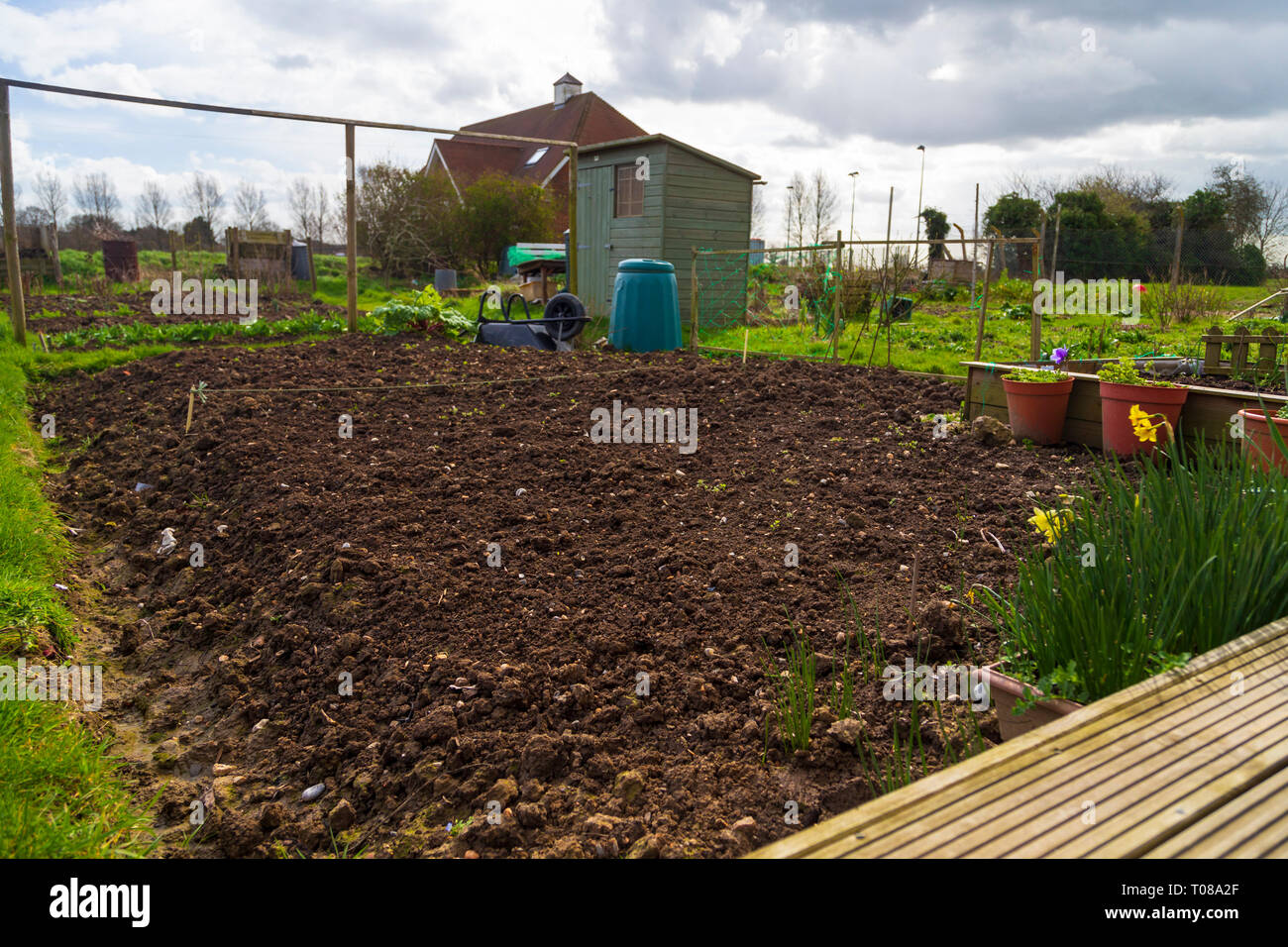 New allotment freshly dug soil getting ready for spring, ashford, kent ...