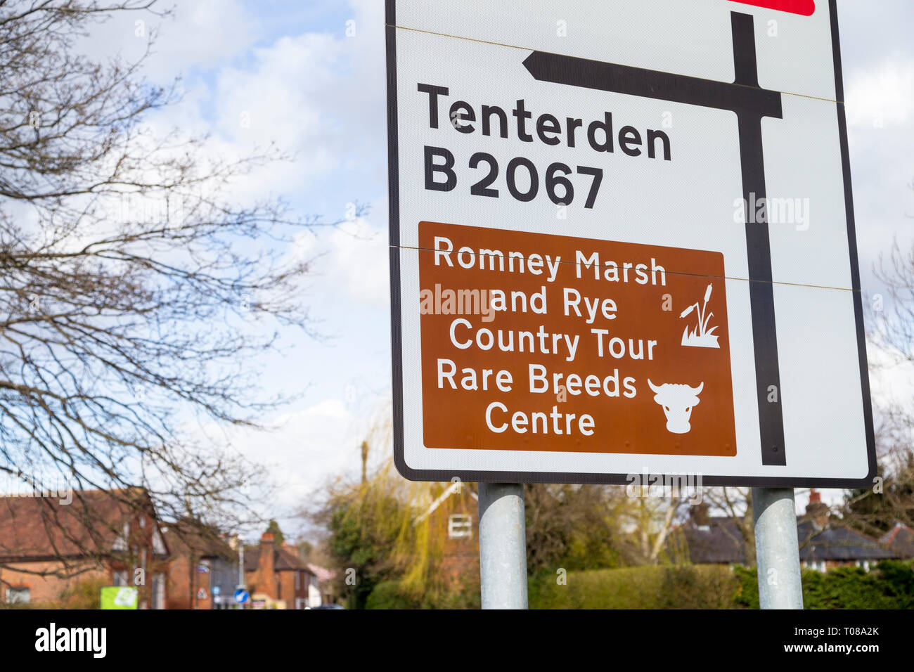 Rare breeds centre tenterden hi-res stock photography and images - Alamy