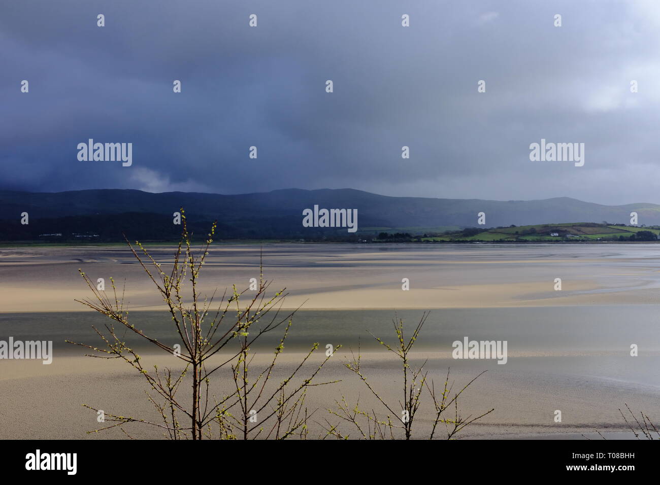 Portmeirion view sea hi-res stock photography and images - Alamy