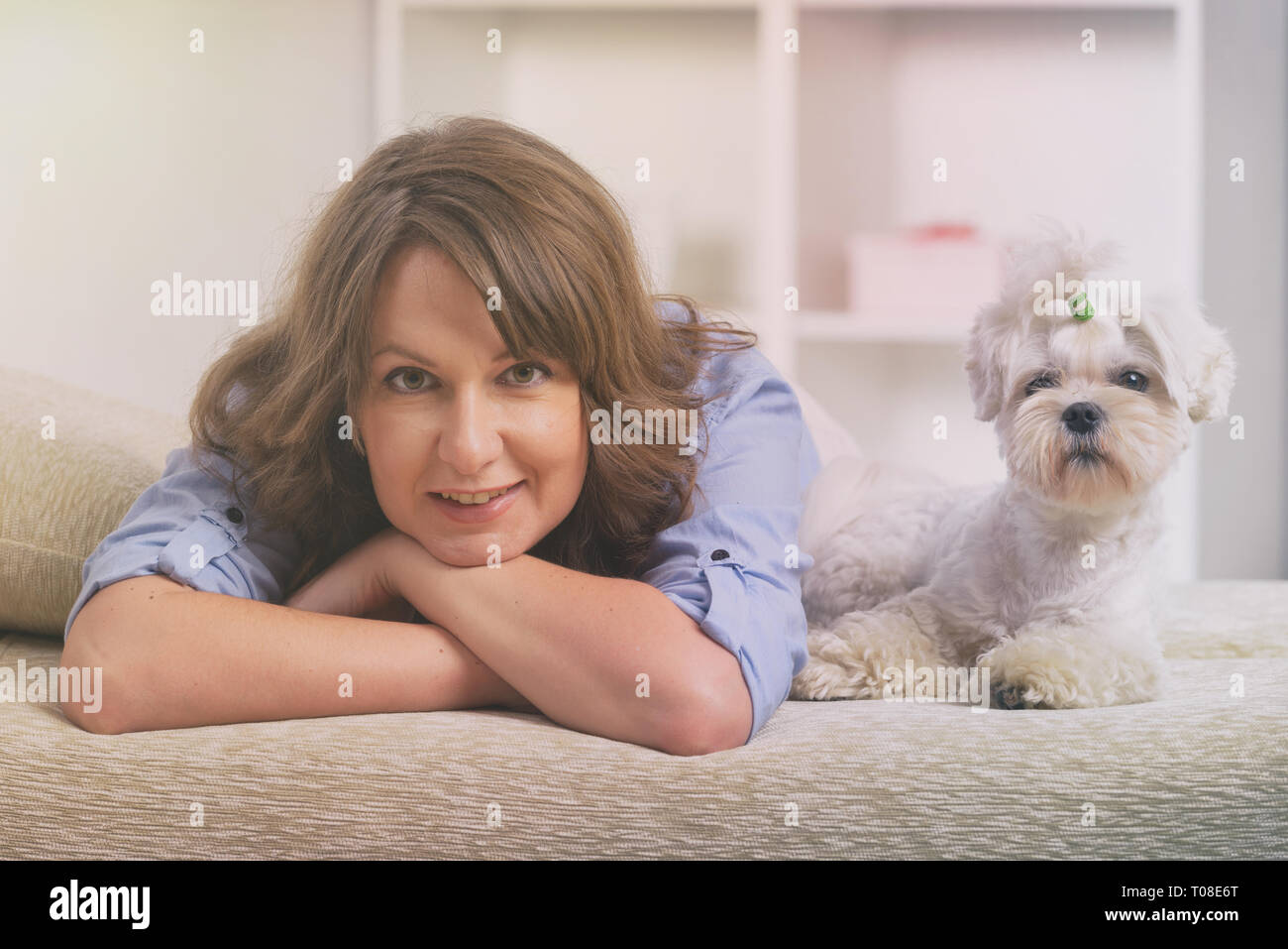 Little dog maltese with his owner on the sofa in home Stock Photo - Alamy