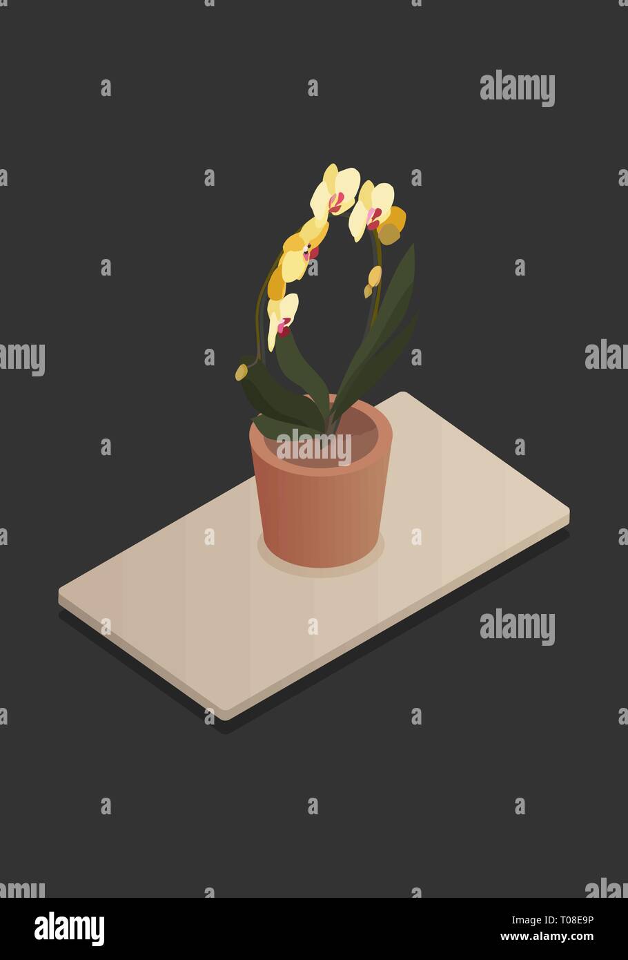 Isometric plants in pot on table. 3d plants for design of a living room ...