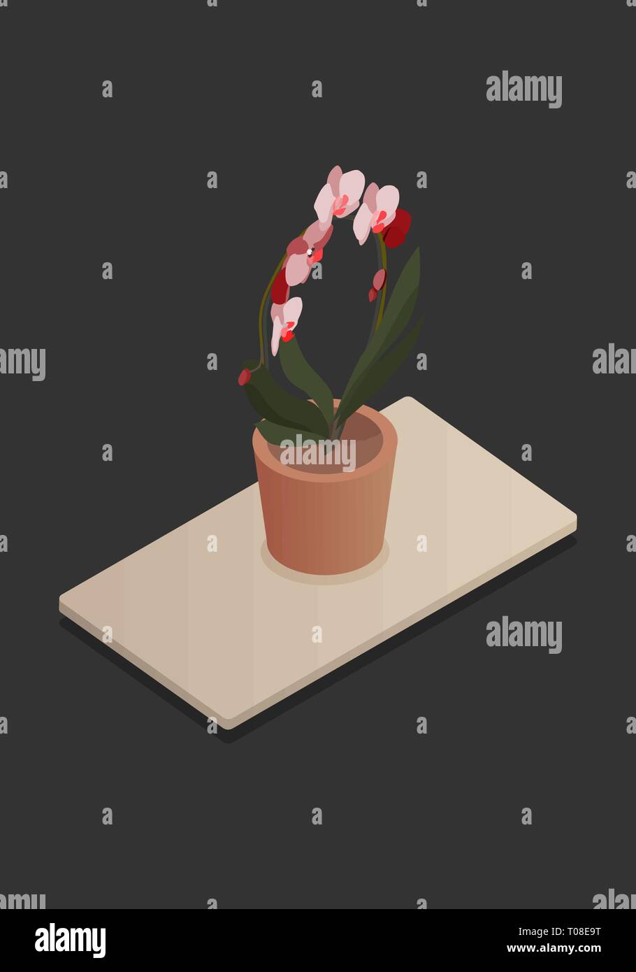 Isometric plants in pot on table. 3d plants for design of a living room ...