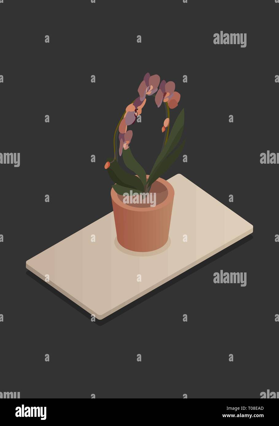 Isometric plants in pot on table. 3d plants for design of a living room ...