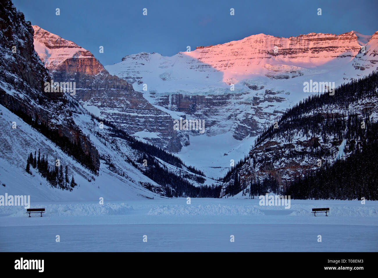 Ice Rink Lake Louise Chateau winter Alberta Canada Stock Photo - Alamy