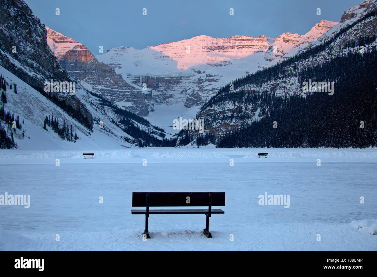 Ice Rink Lake Louise Chateau winter Alberta Canada Stock Photo - Alamy