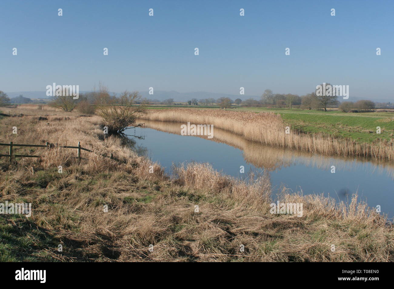 Pulborough brooks rspb nature reserve hi-res stock photography and ...
