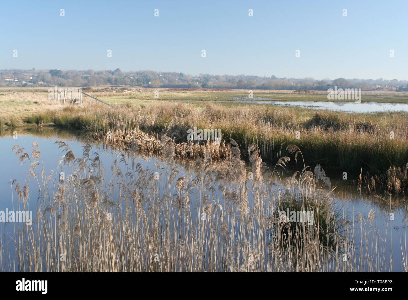 Pulborough brooks rspb nature reserve hi-res stock photography and ...