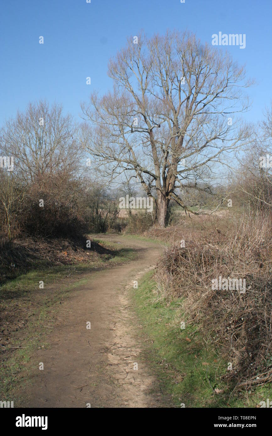 Pulborough brooks landscape hi-res stock photography and images - Alamy