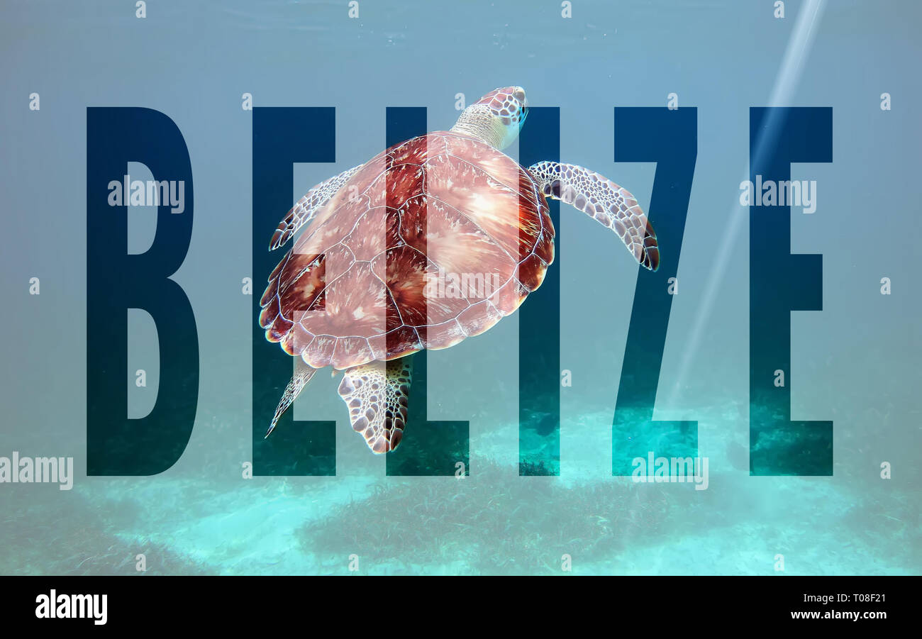 Blue hole belize hi-res stock photography and images - Alamy