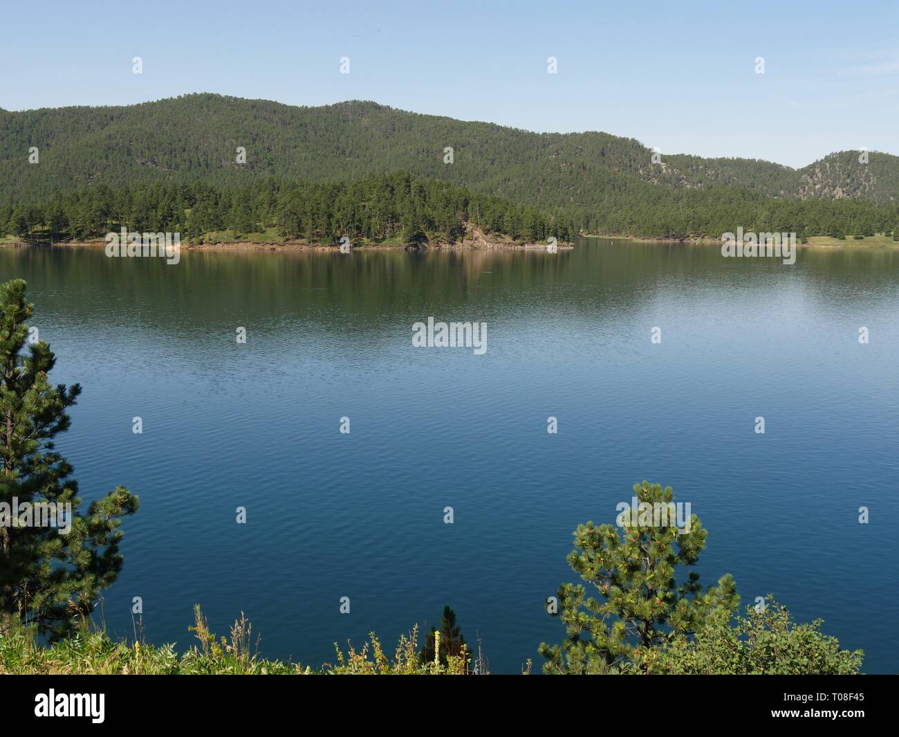 Medium close up of Pactola Lake, the largest reservoir in the Black ...