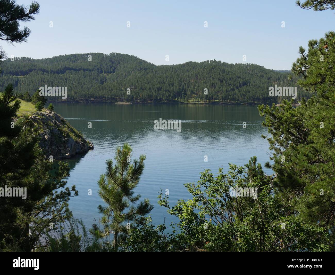 Lake Pactola framed by trees at Black Hills South Dakota Stock Photo ...