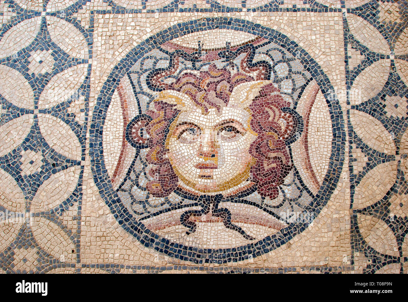 Ancient Roman Mosaics from Terrace Houses, Ephesus, Turkey Stock Photo ...