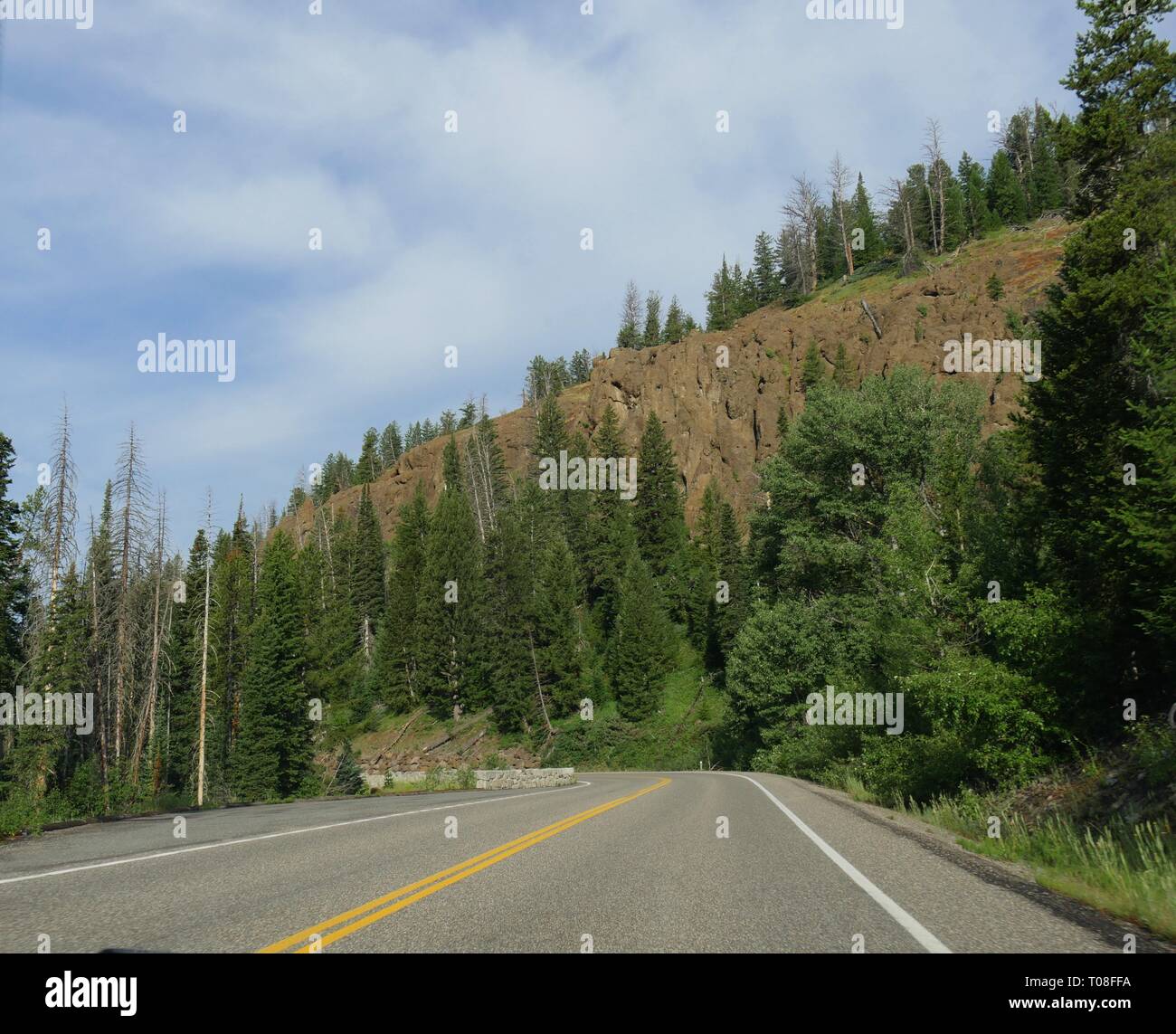 Lush green trees growing along the side of a winding road next to a ...