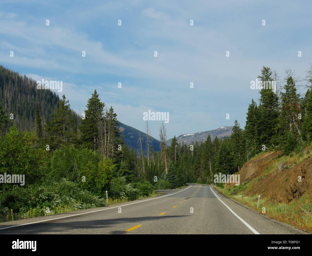 Scenic views along a paved road at Yellowstone National Park, Wyoming ...