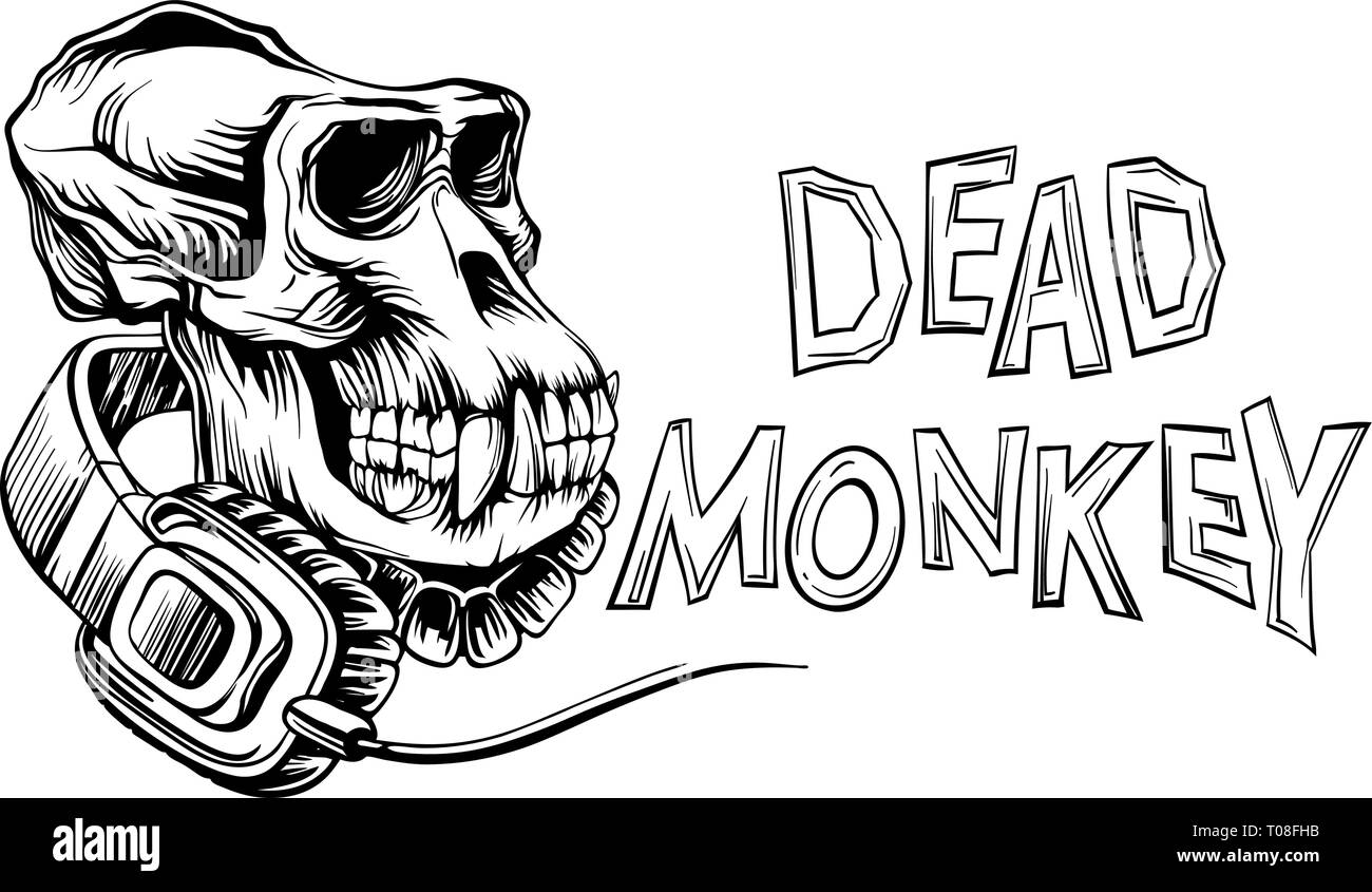 Dead monkey hi-res stock photography and images - Alamy