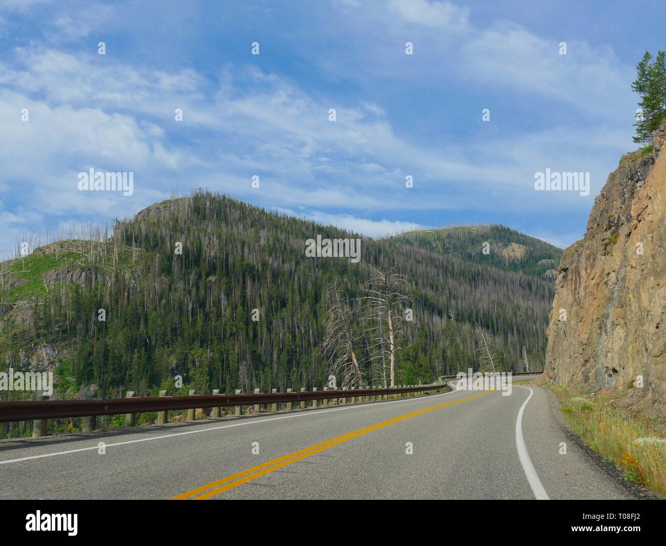 Driving around yellowstone park hi-res stock photography and images - Alamy