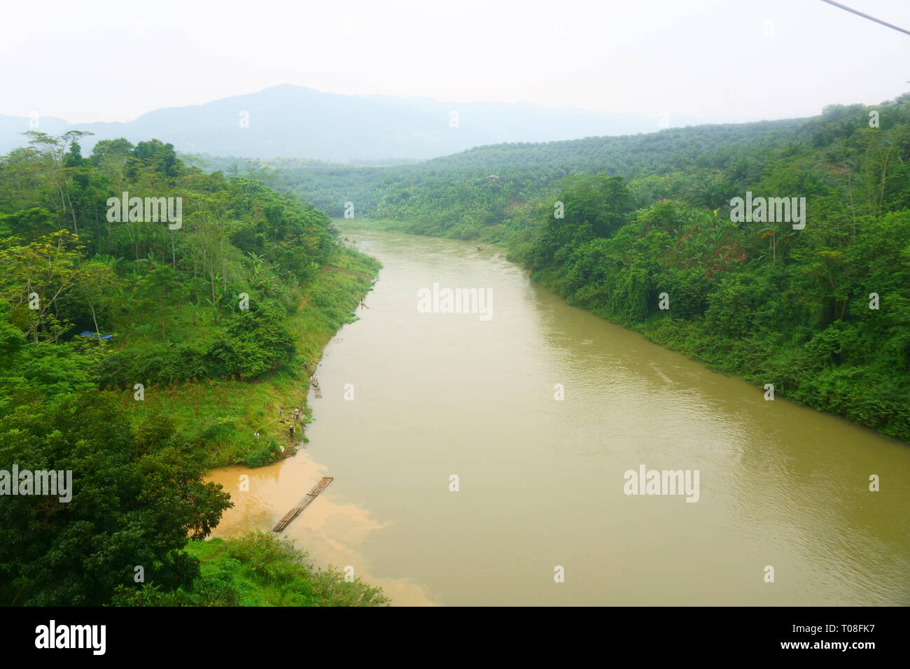 River tropical asia rain forest Stock Photo - Alamy