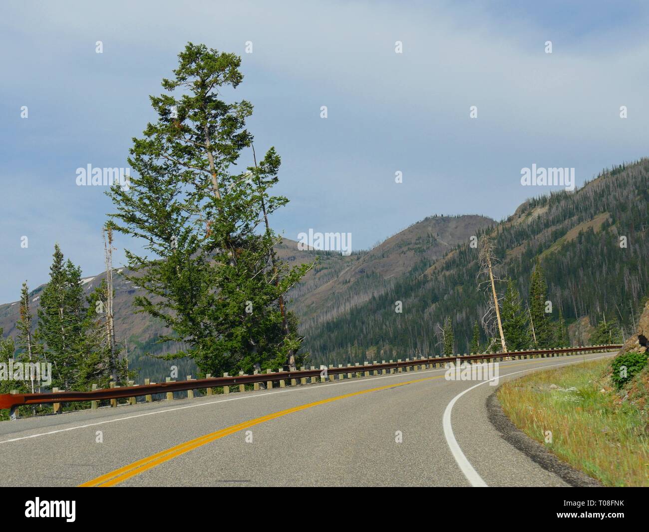 Winding road along a cliff with a few trees seen from the east entrance ...