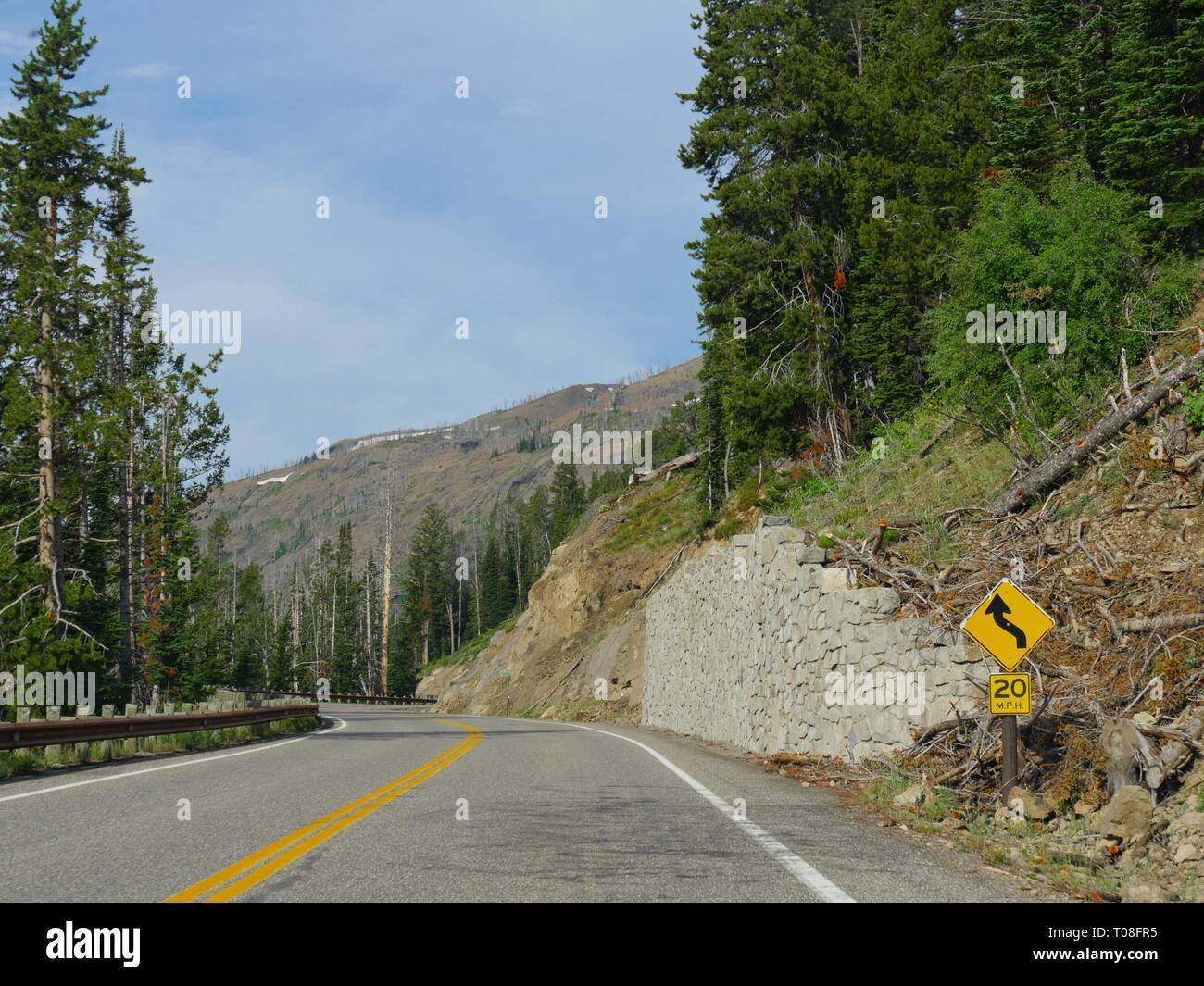 Paved winding road with speed limit sign by the roadside at Yellowstone ...