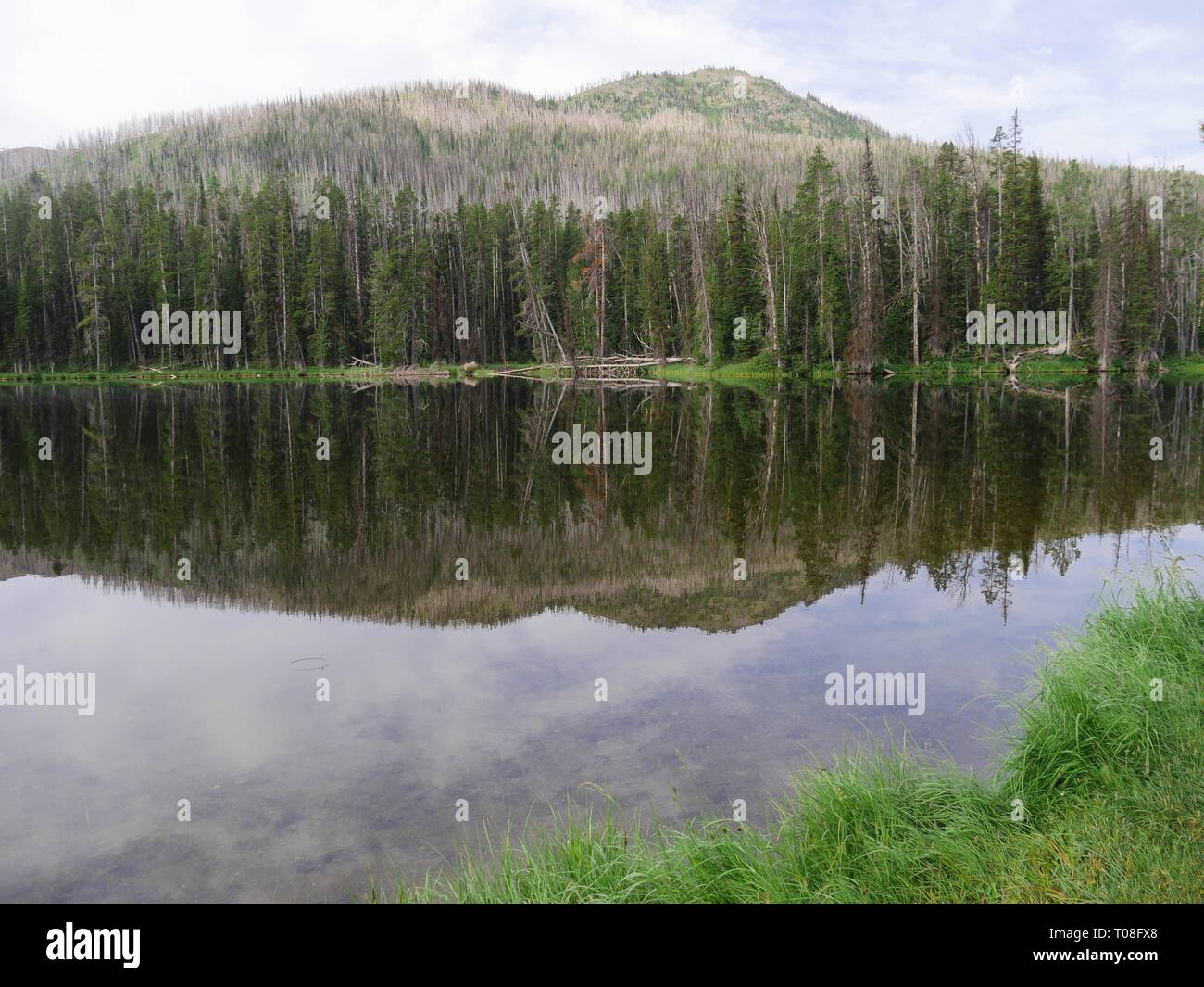 Sylvan lake yellowstone national park hi-res stock photography and ...