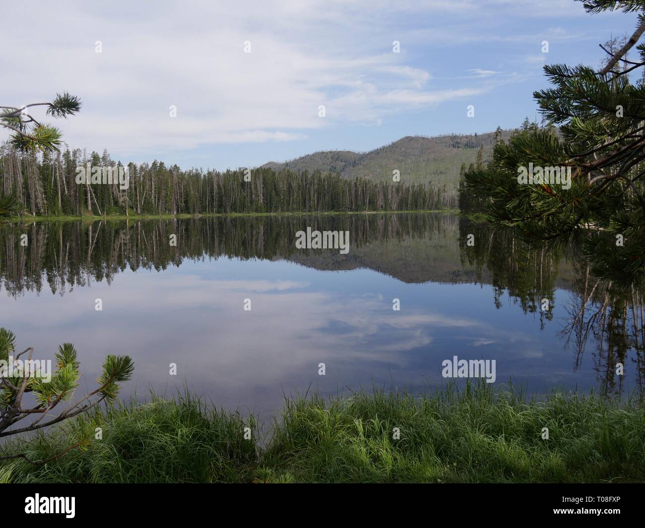 Wide scenic view of Sylvan Lake at the Yellowstone National Park in ...
